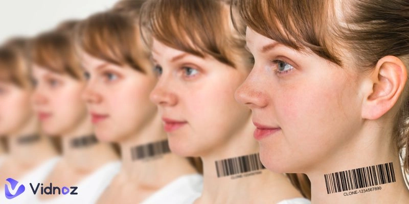 AI Solutions for Sales, Marketing, Video Creation and More