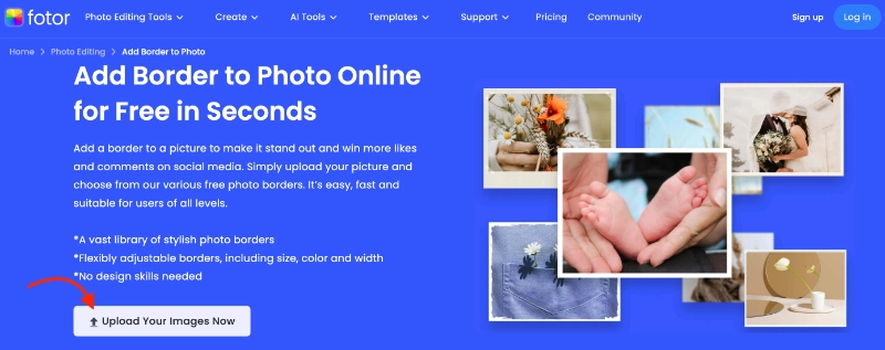 5 Free Tools to Help You Add Border to Image Easily