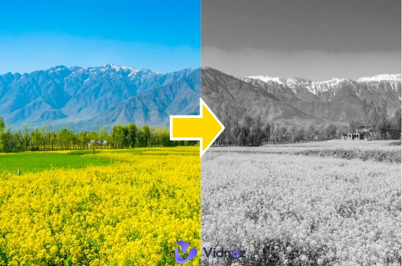 Grayscale Converter List: 5 Best Free Tools for You 2025