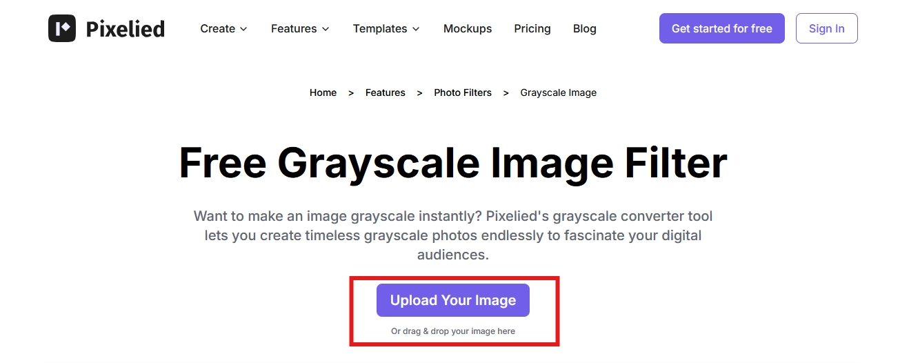 Grayscale Converter List: 5 Best Free Tools for You 2025