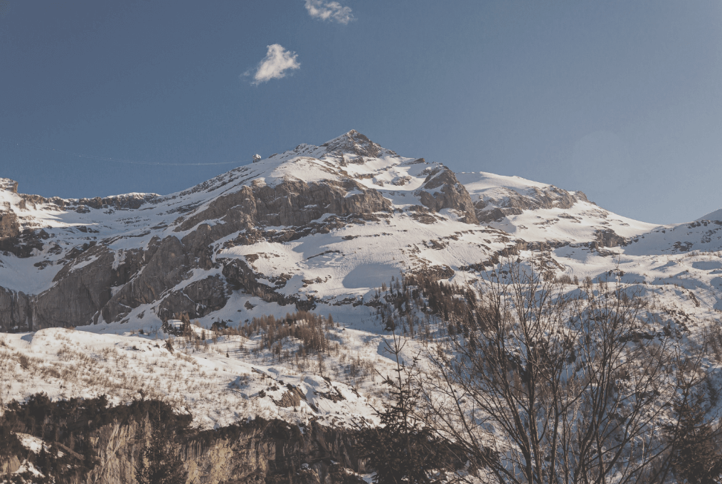 AI Color Correction: Auto-fix Photo Color Online Free