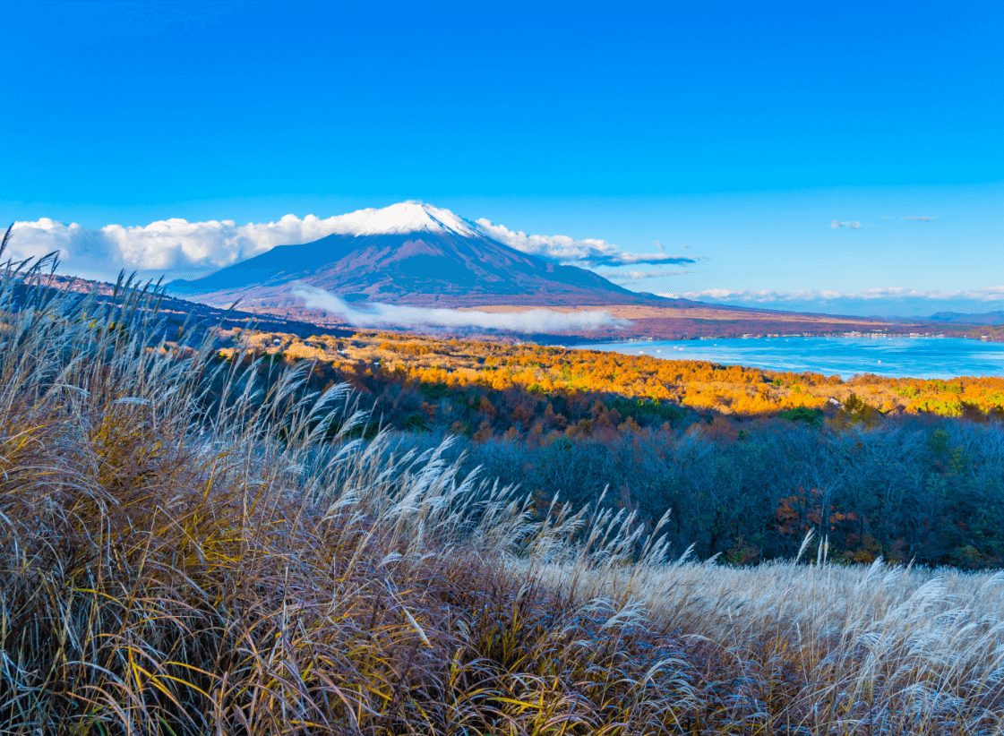 AI Color Correction: Auto-fix Photo Color Online Free